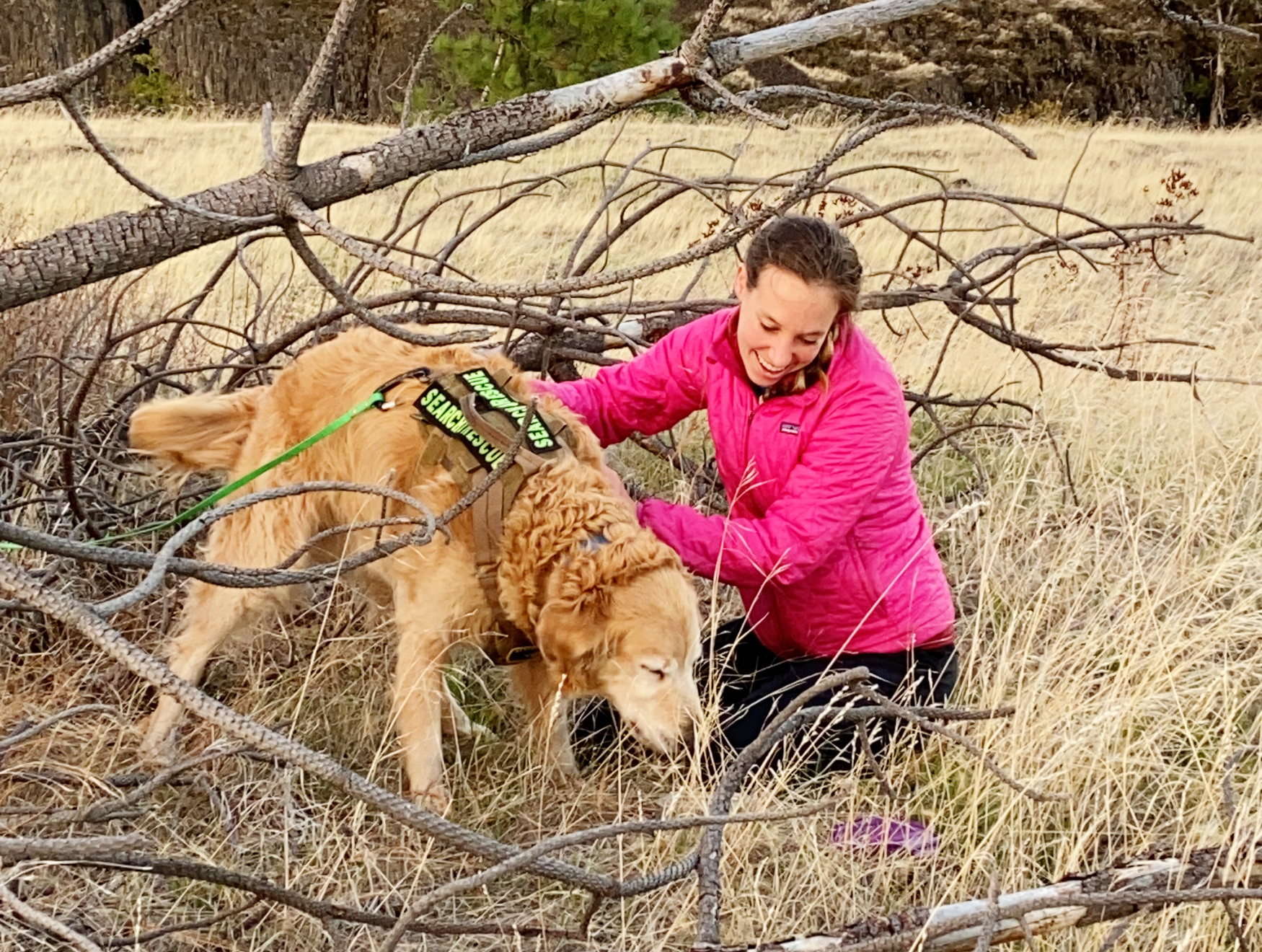 How Do I Become A Sar Dog Handler